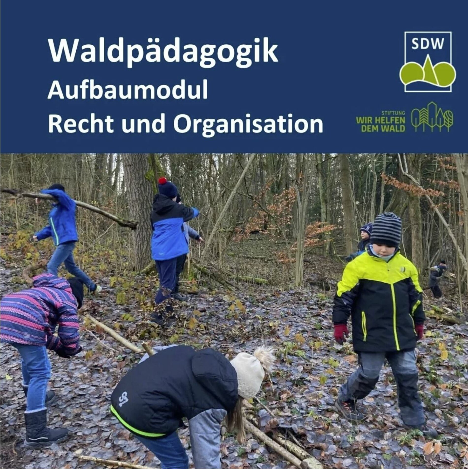 Schutzgemeinschaft Deutscher Wald Bayern: Landesverband Bayern